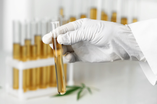 Hemp Analysis Testing Services Near Me | Comprehensive Results