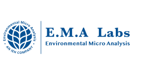 IEH Companies - IEH Laboratories & Consulting Group - The Institute for ...