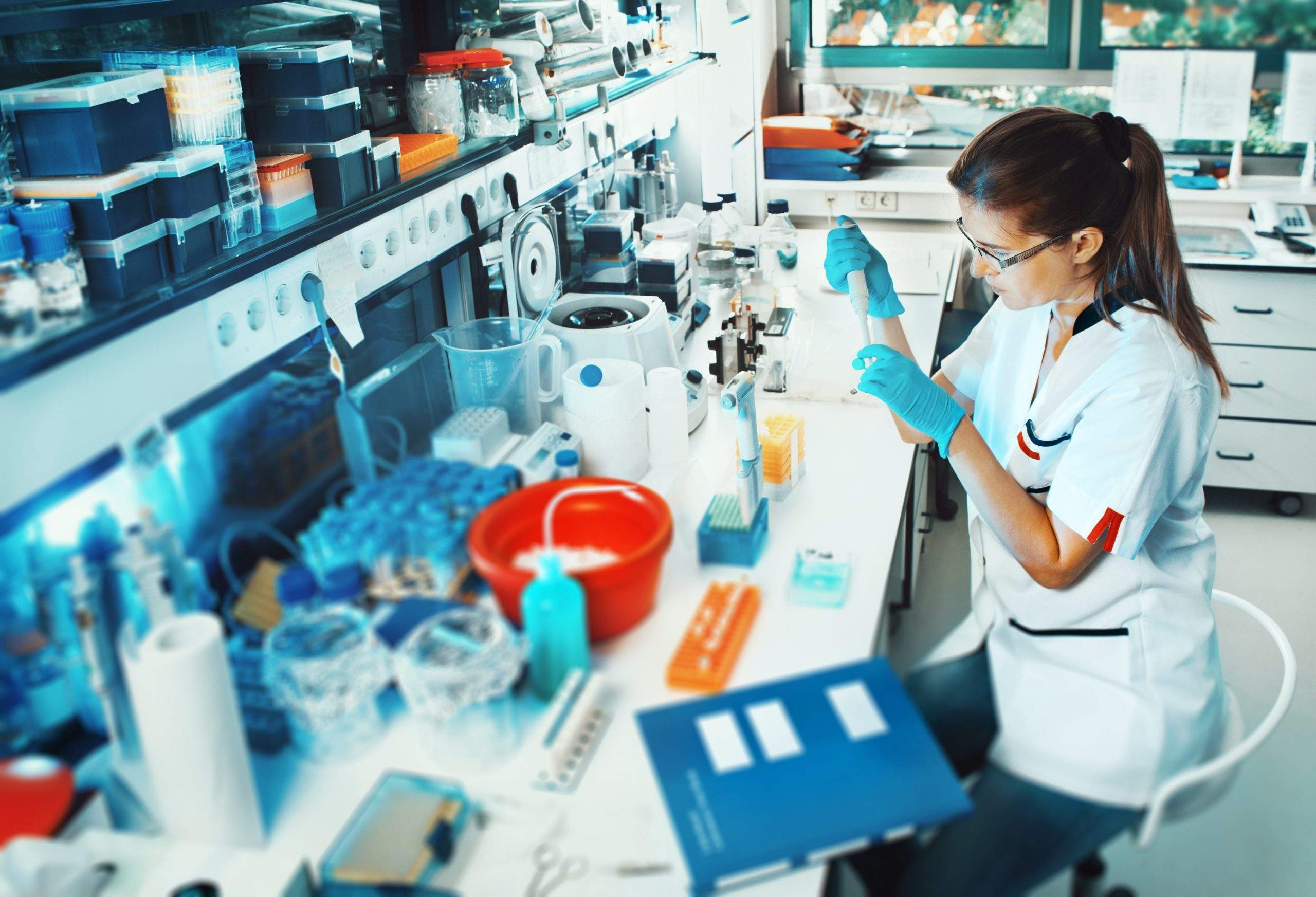 Gov. Beshear Announces IEH Laboratories & Consulting Group to Establish ... Gov. Beshear Announces IEH Laboratories & Consulting Group to Establish ...