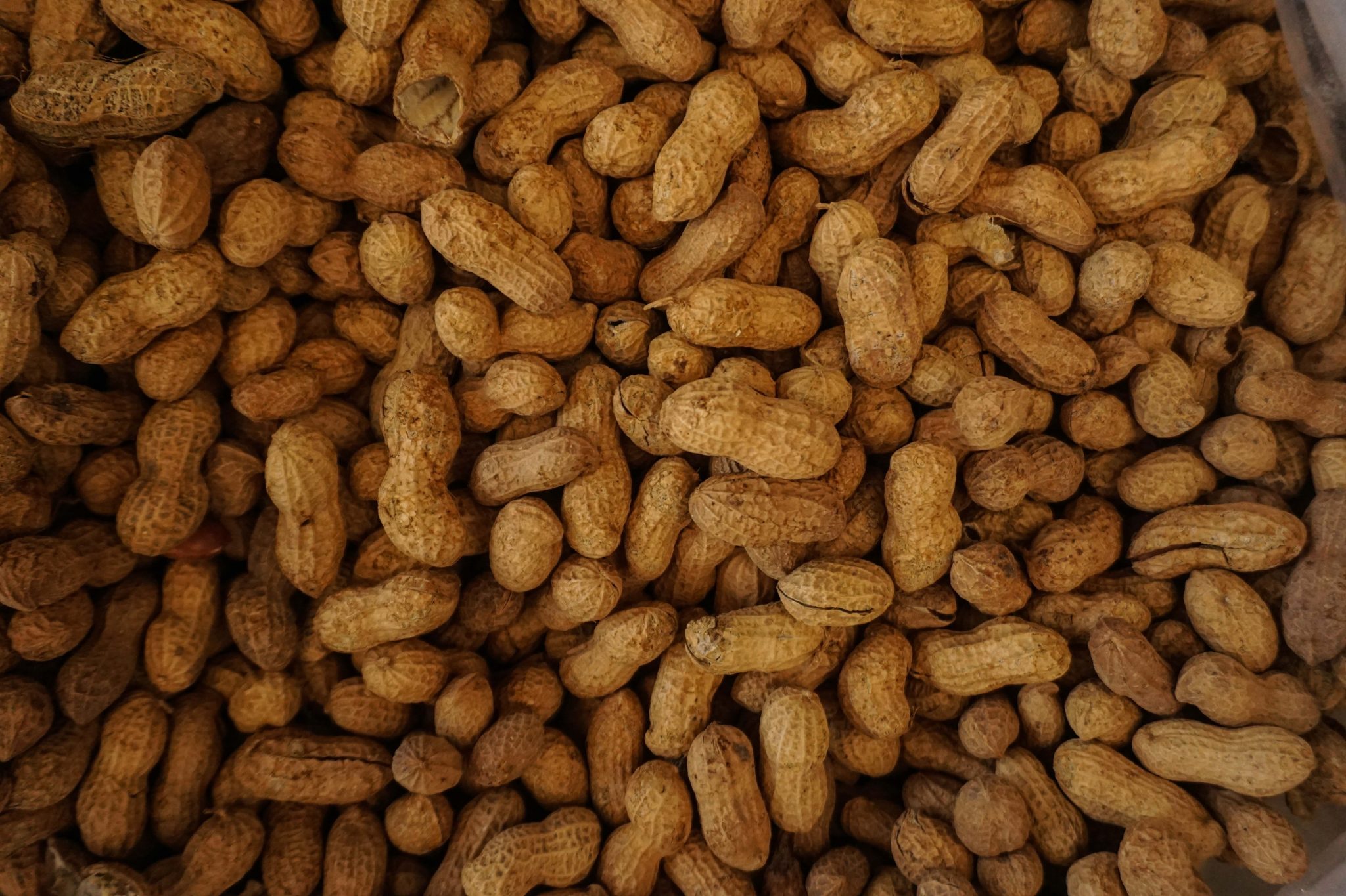 IEH and JLA hosted the annual Peanut and Tree Nut Food Safety Summit ...